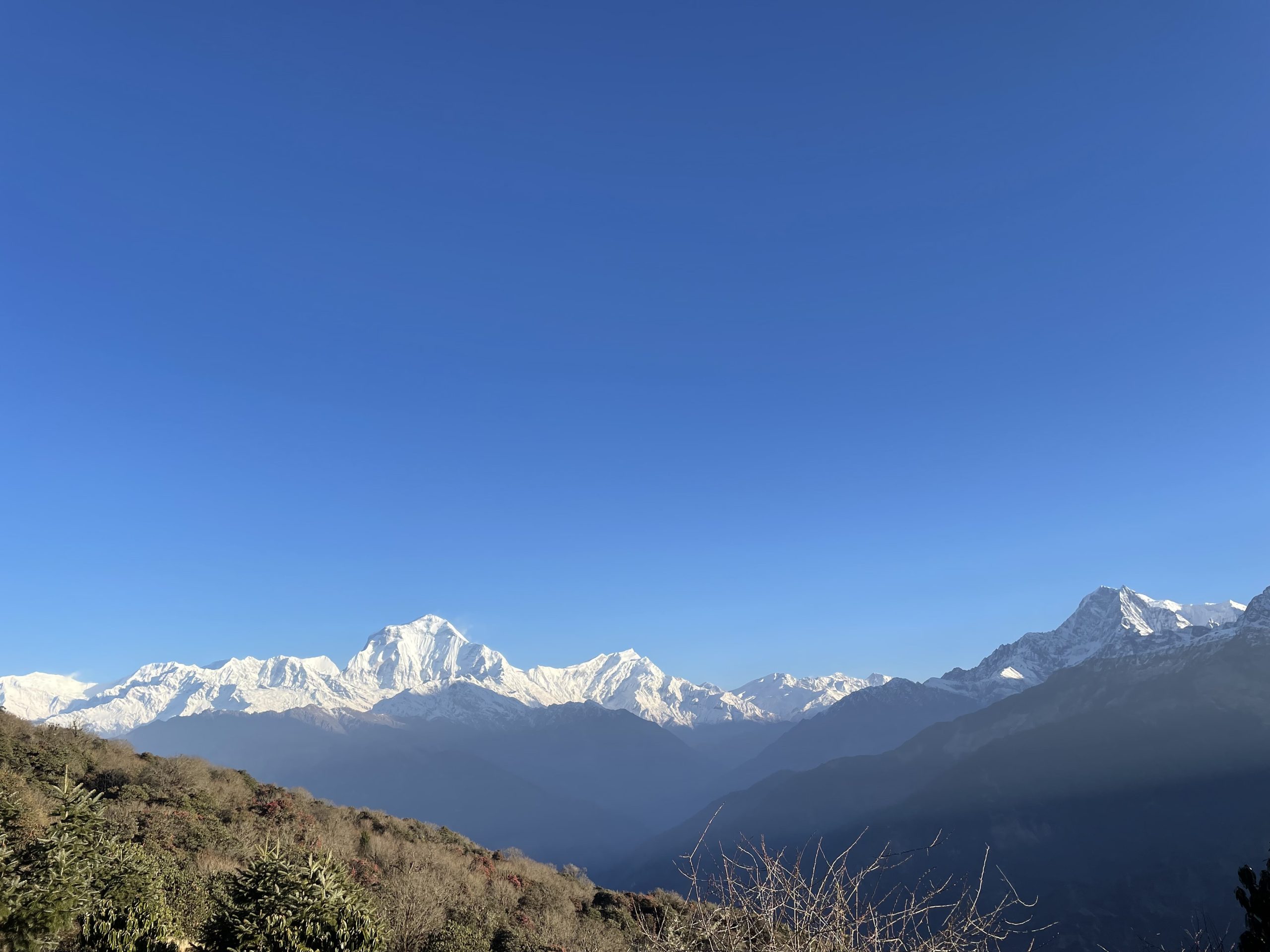 Panchase Trek | Short & Scenic Trek from Pokhara
