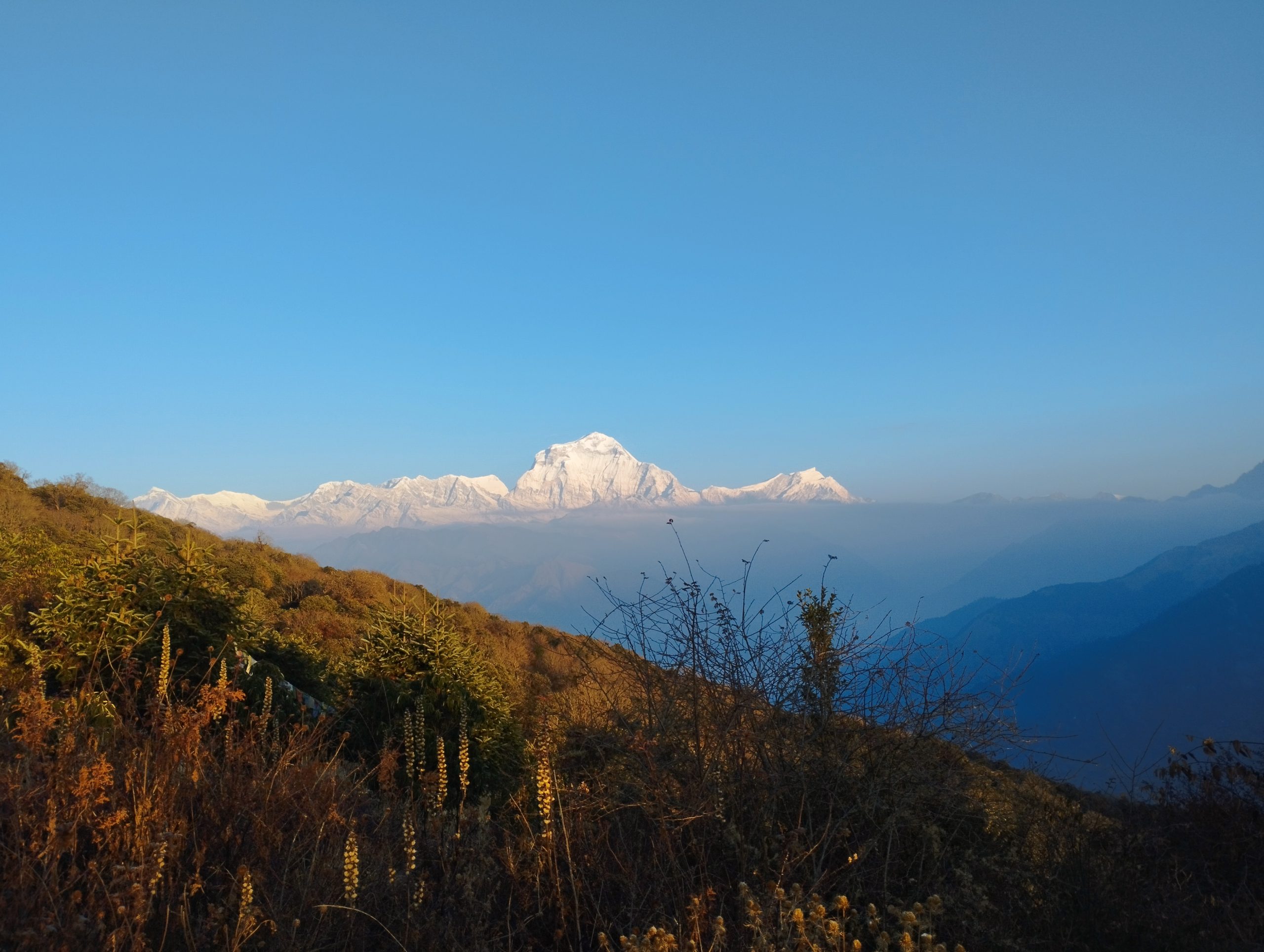 Panchase Trek | Short & Scenic Trek from Pokhara