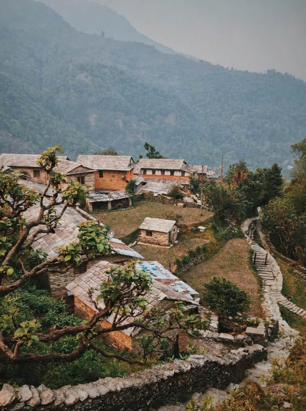Panchase Trek | Short & Scenic Trek from Pokhara